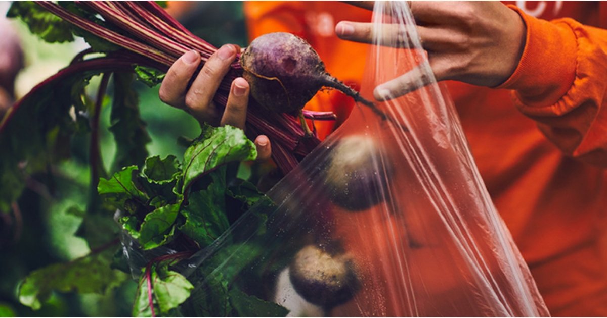 A Guide to Zehrs Online Grocery